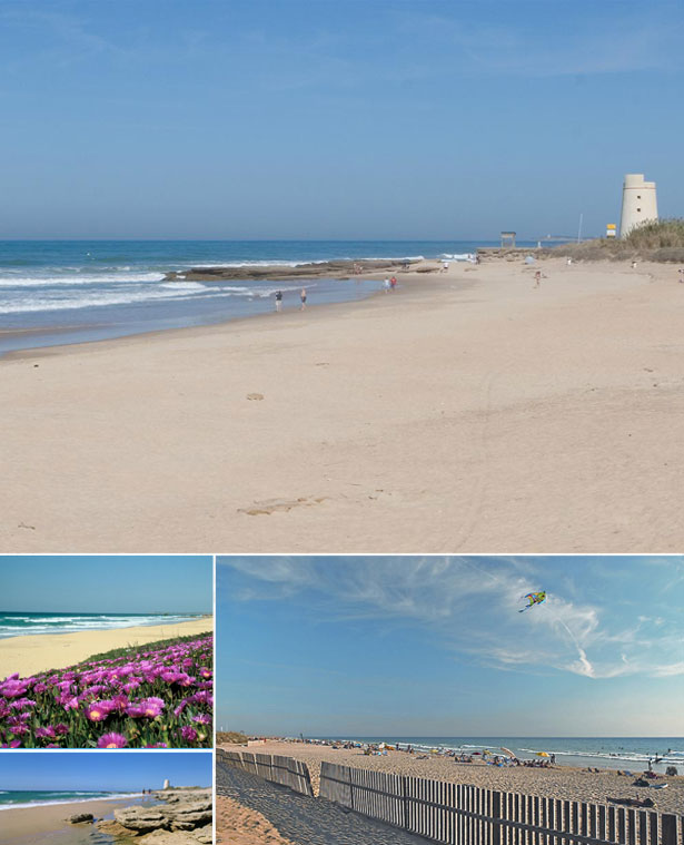 Playa El Palmar - ¿Por Qué pasar tus Vacaciones en la Playa del Palmar?